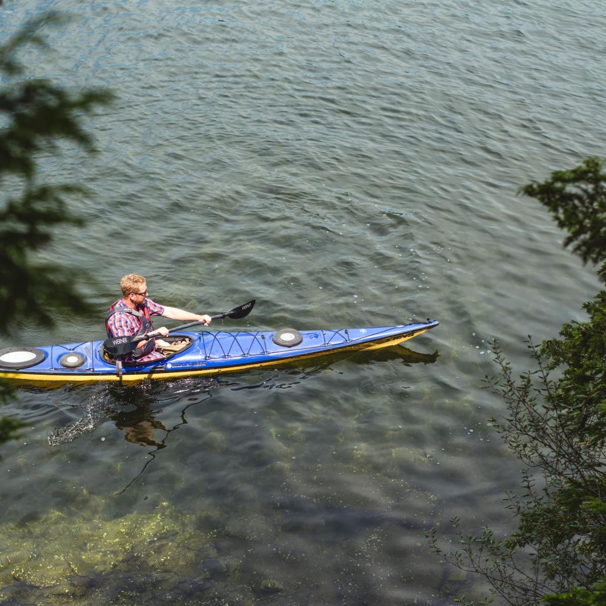 Black Fly Season | Official Adirondack Region Website