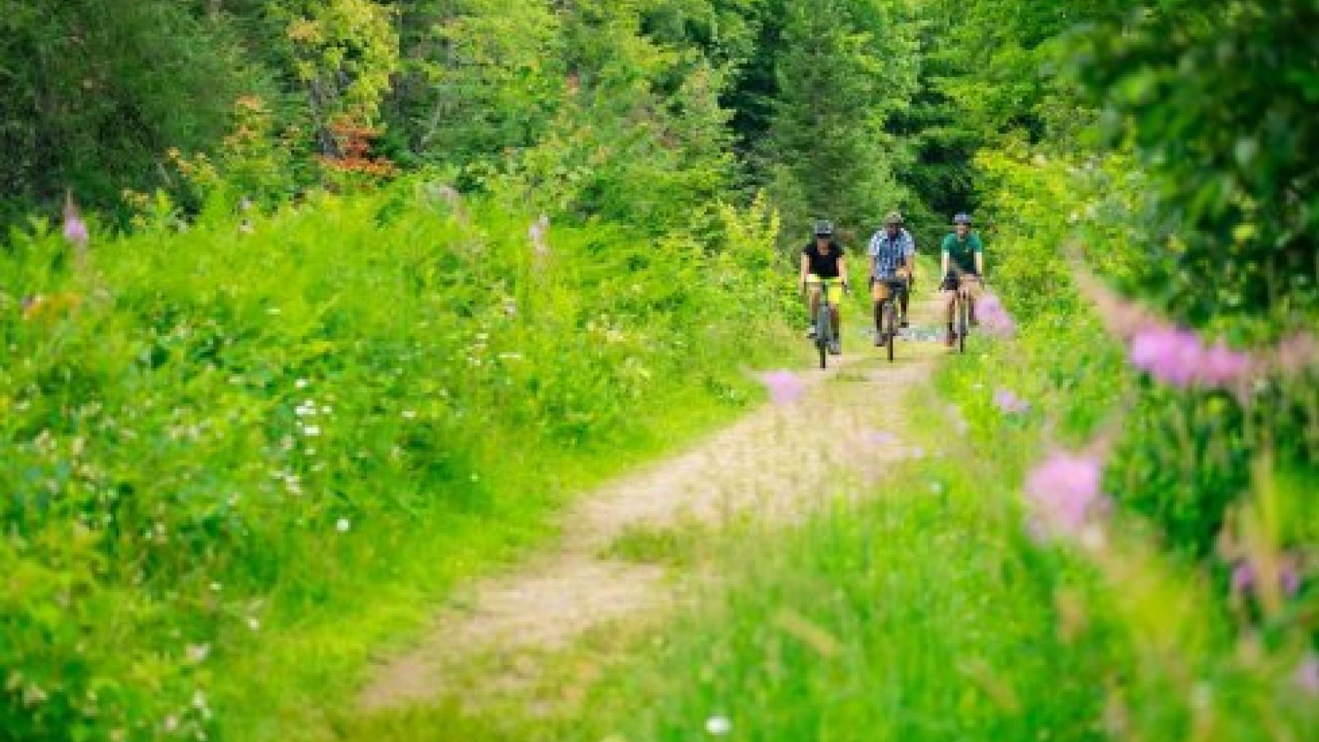 Silver Birch Cycles | Official Adirondack Region Website