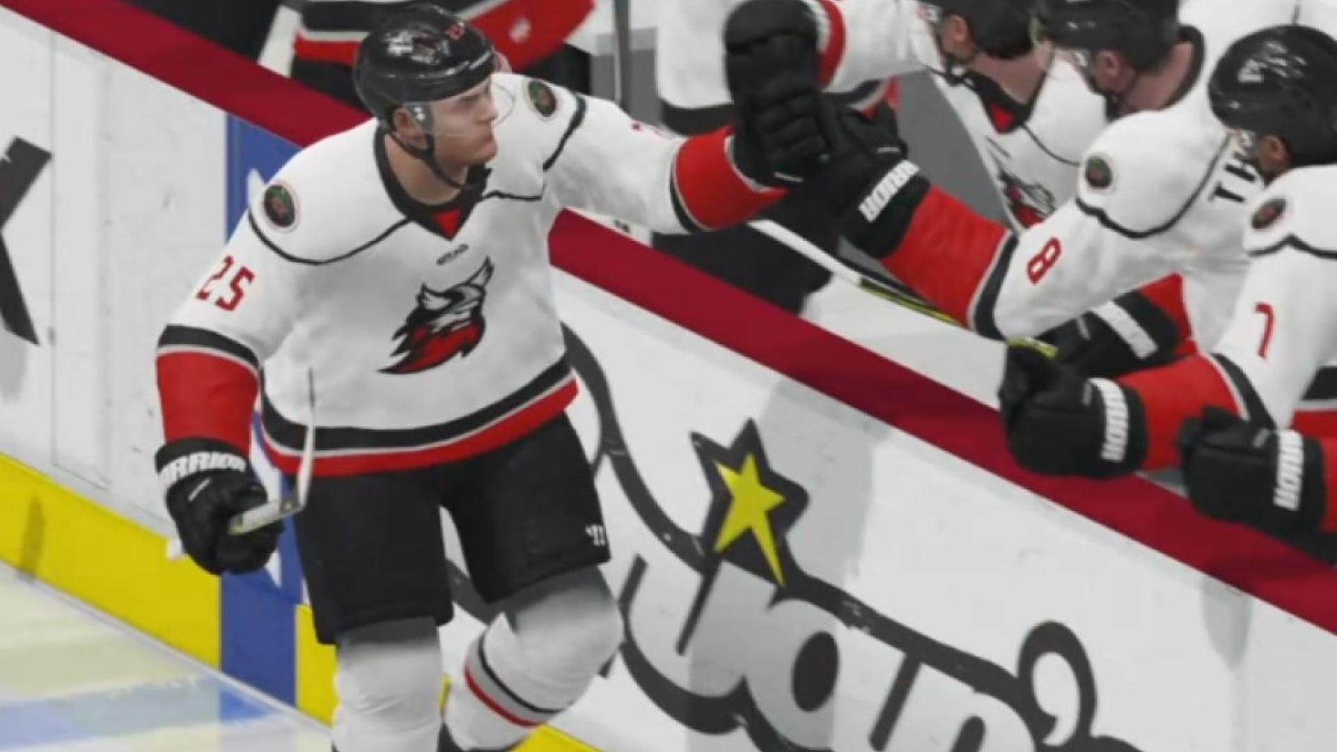 Adirondack Thunder Hockey | Official Adirondack Region Website