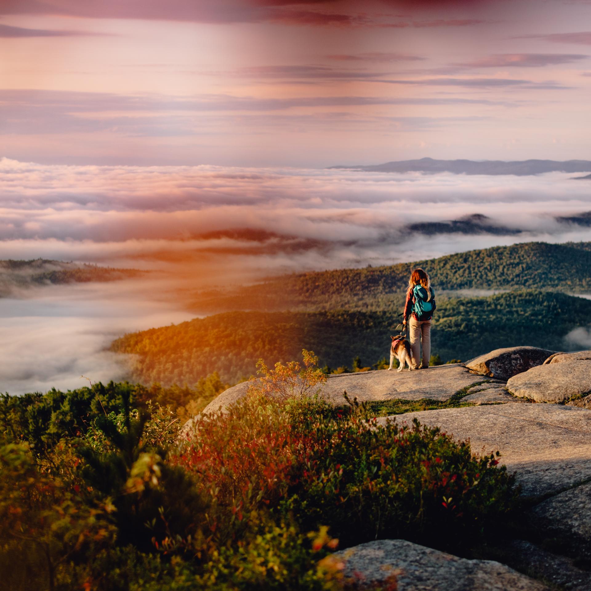 Adirondack Park National Historic Landmark – Official Regional Website