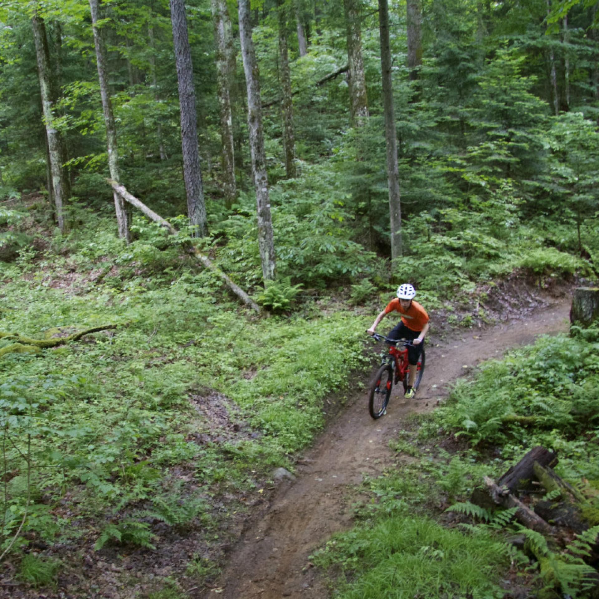 Mountain Biking – New York Adirondack Trails and Information