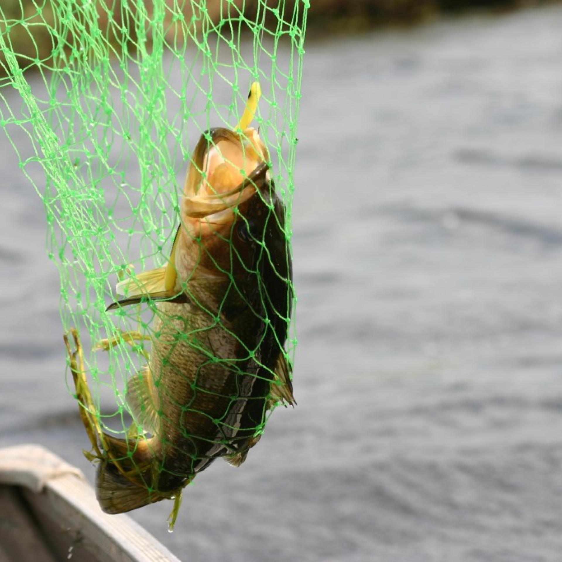 Lake Placid Region | Official Adirondack Region Website