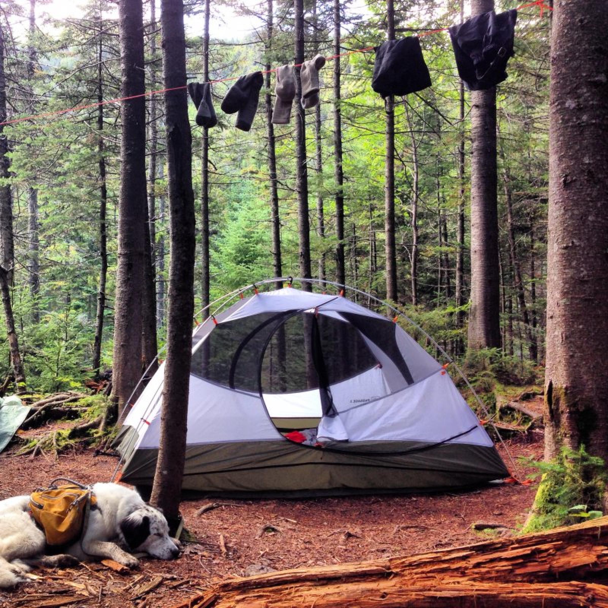 Backcountry Camping | Official Adirondack Region Website