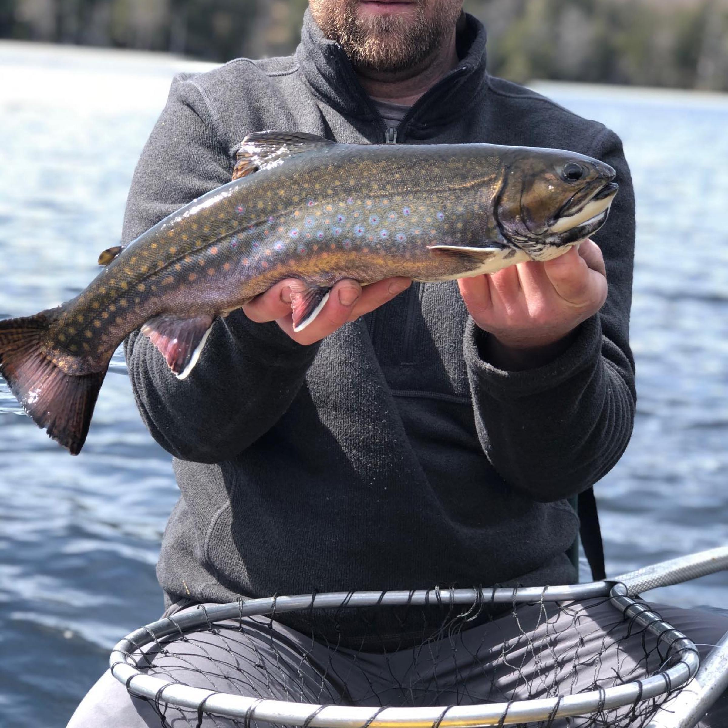 Lake Champlain Region | Official Adirondack Region Website