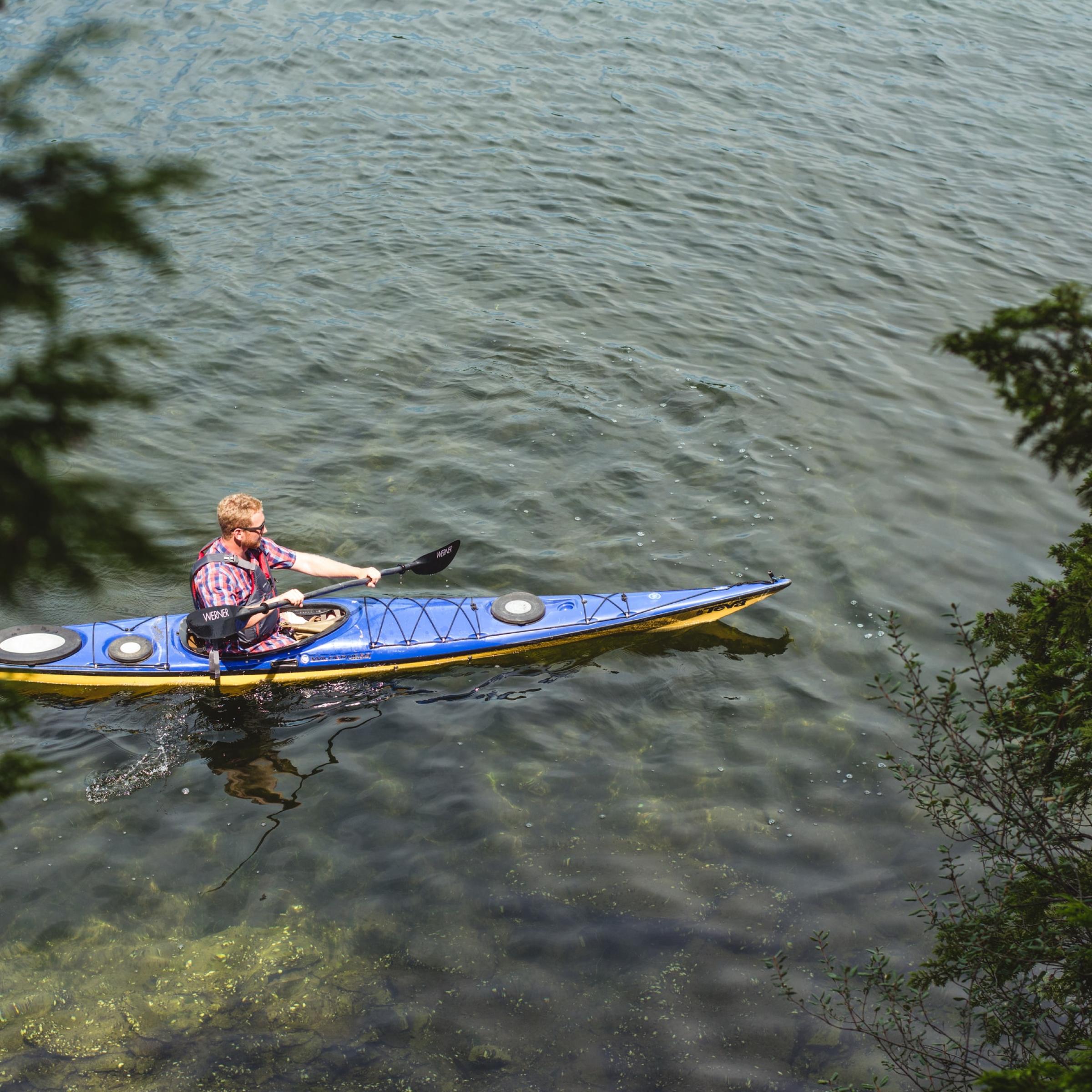 Black Fly Season | Official Adirondack Region Website